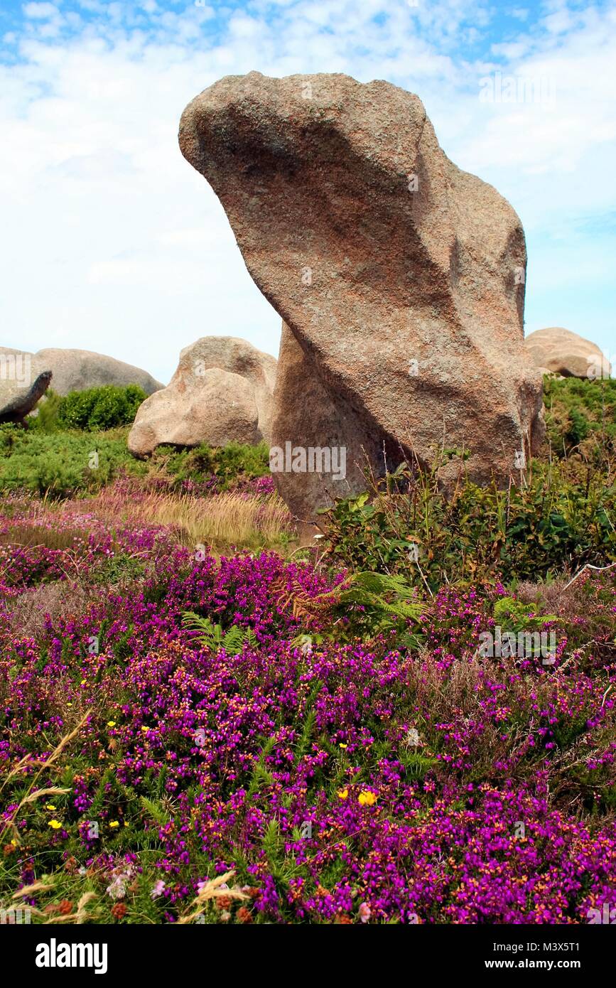 the amazing rocks of pink granite coast in Brittany and suggestive ...