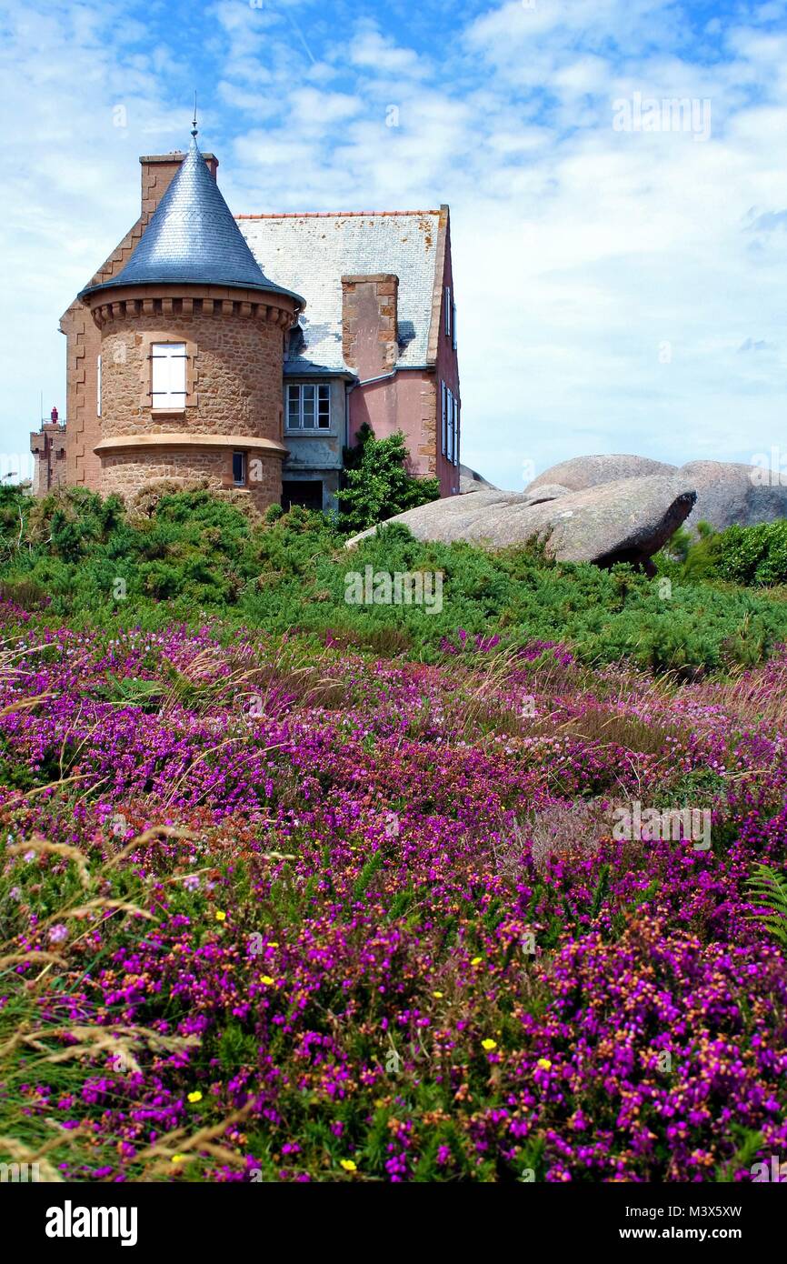 the amazing rocks of pink granite coast in Brittany and suggestive ...
