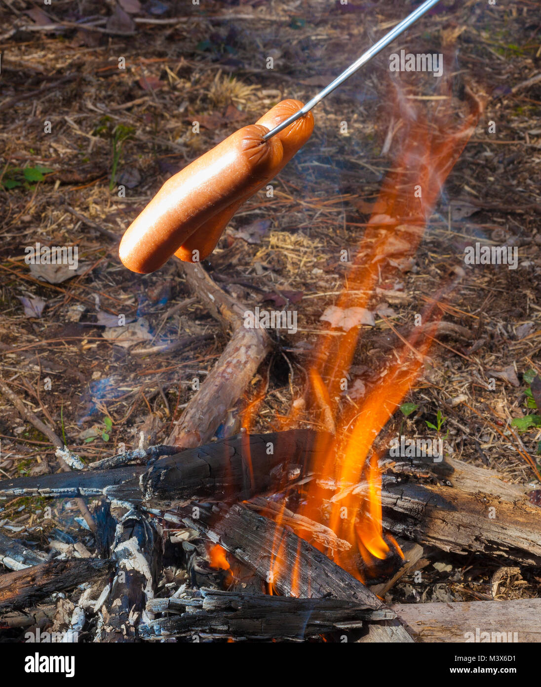 Hot dogs being cooked over a small campfire Stock Photo - Alamy