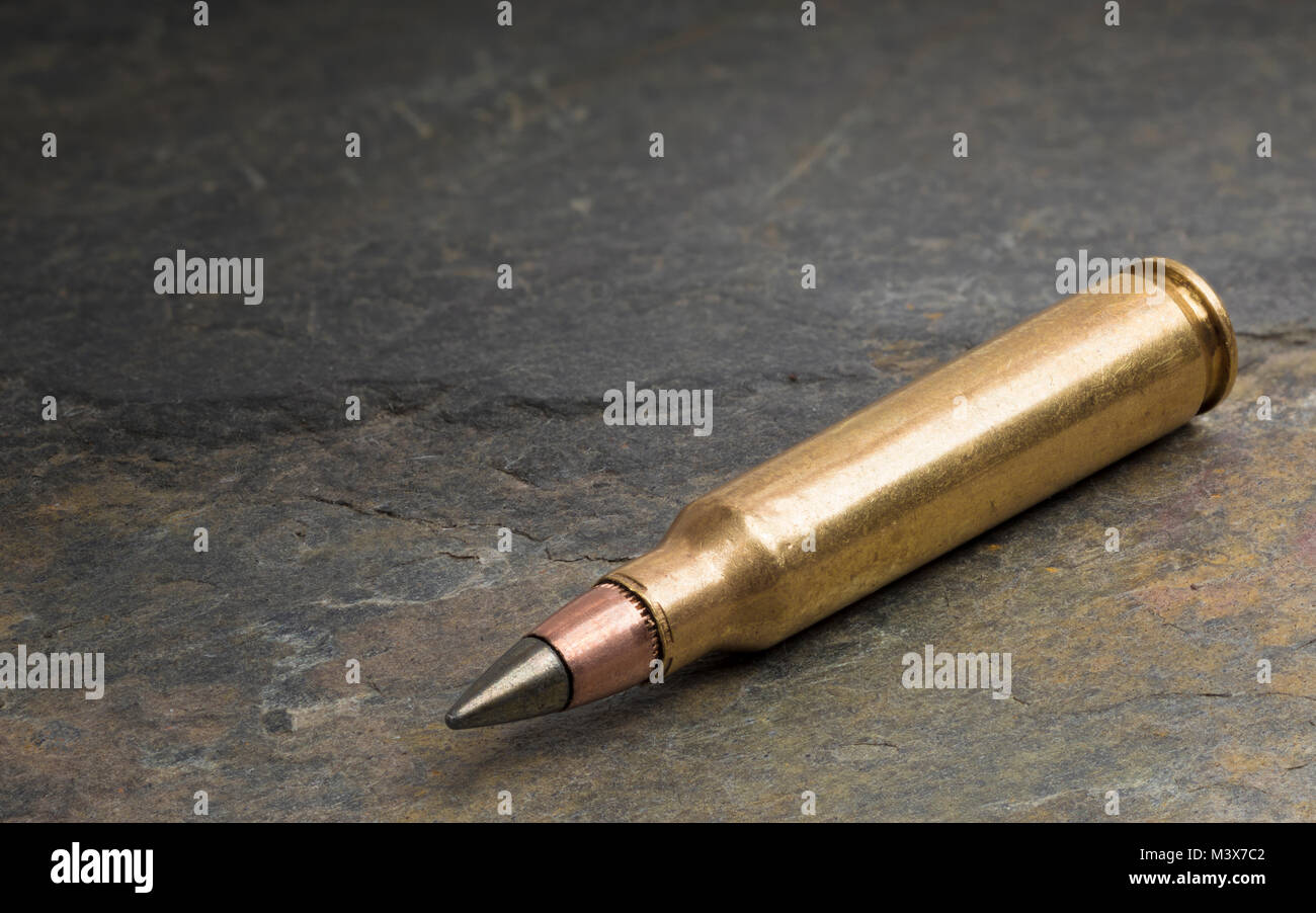 Military version of its 5.56 cartridge on a tan rock Stock Photo - Alamy