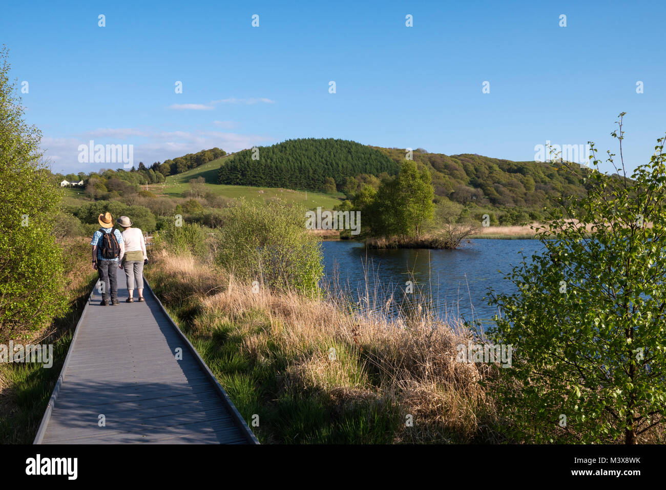 Wooden walkway Tregaron nature reserve Cors Caron Tregaron Ceredigion ...