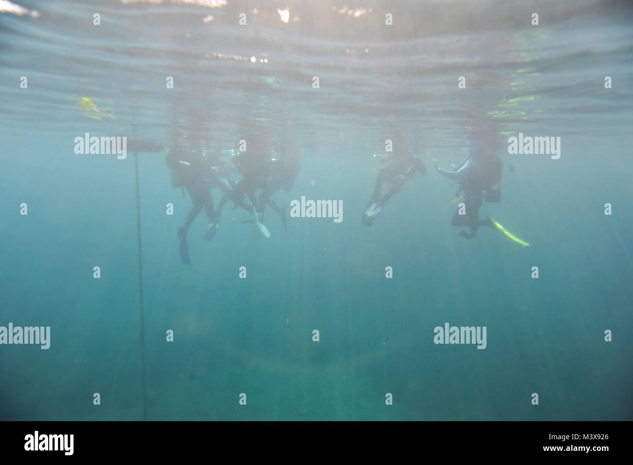 Wounded Warriors participate in a scuba diving class at Spring Lake in ...