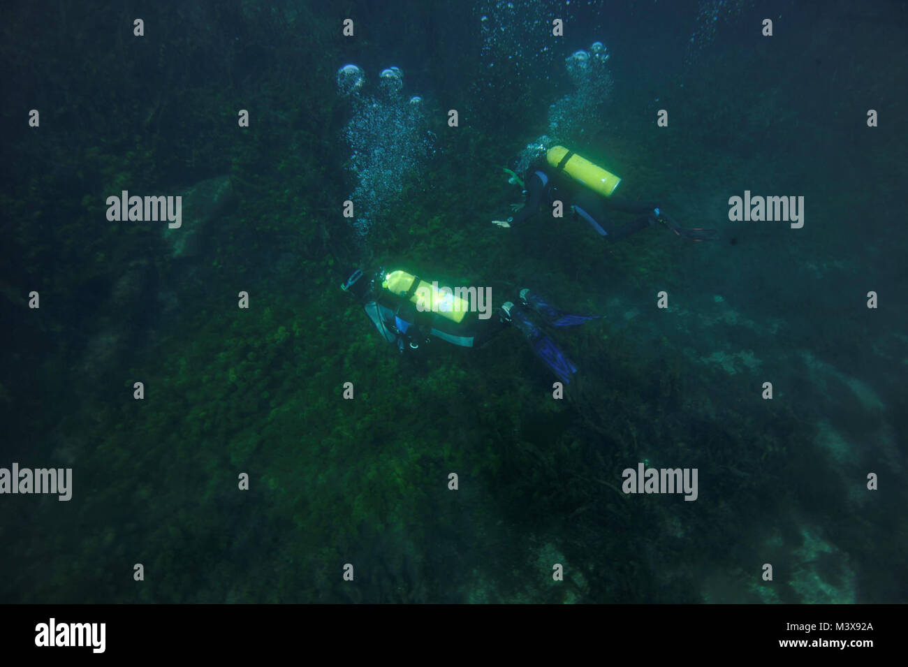 Prosthetics army hi-res stock photography and images - Alamy