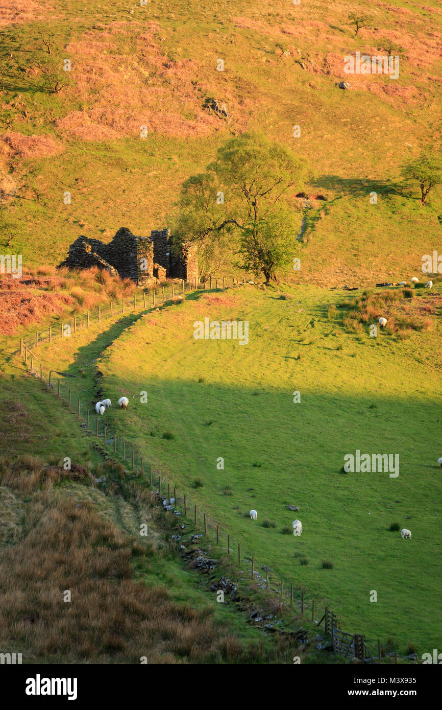 Cwmystwyth near Devil's Bridge and Pont-rhyd-y-groes Ceredigion Wales ...