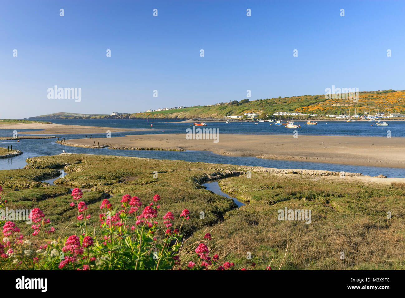 At the river nevern estuary hi-res stock photography and images - Alamy