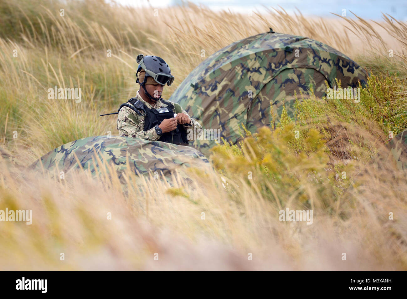 Beach Master Unit 2 High Resolution Stock Photography and Images - Alamy