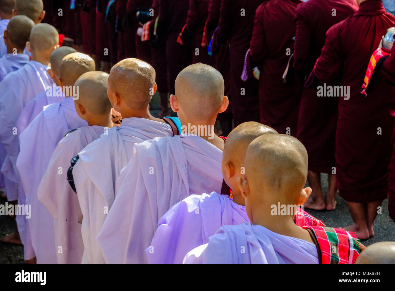 Shaved bold heads of young buddhist monks, queuing for food at ...