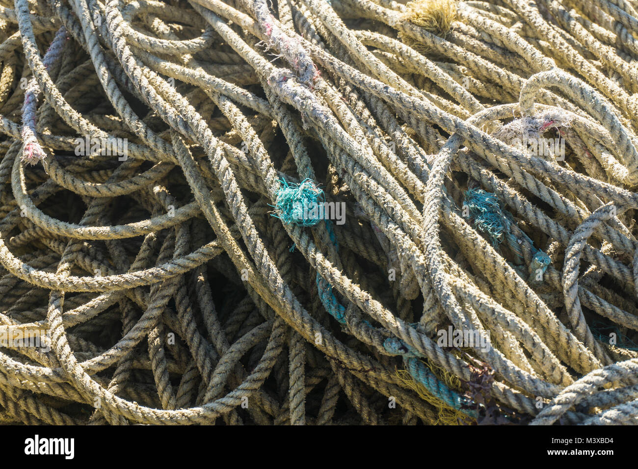 Rope background texture Stock Photo - Alamy