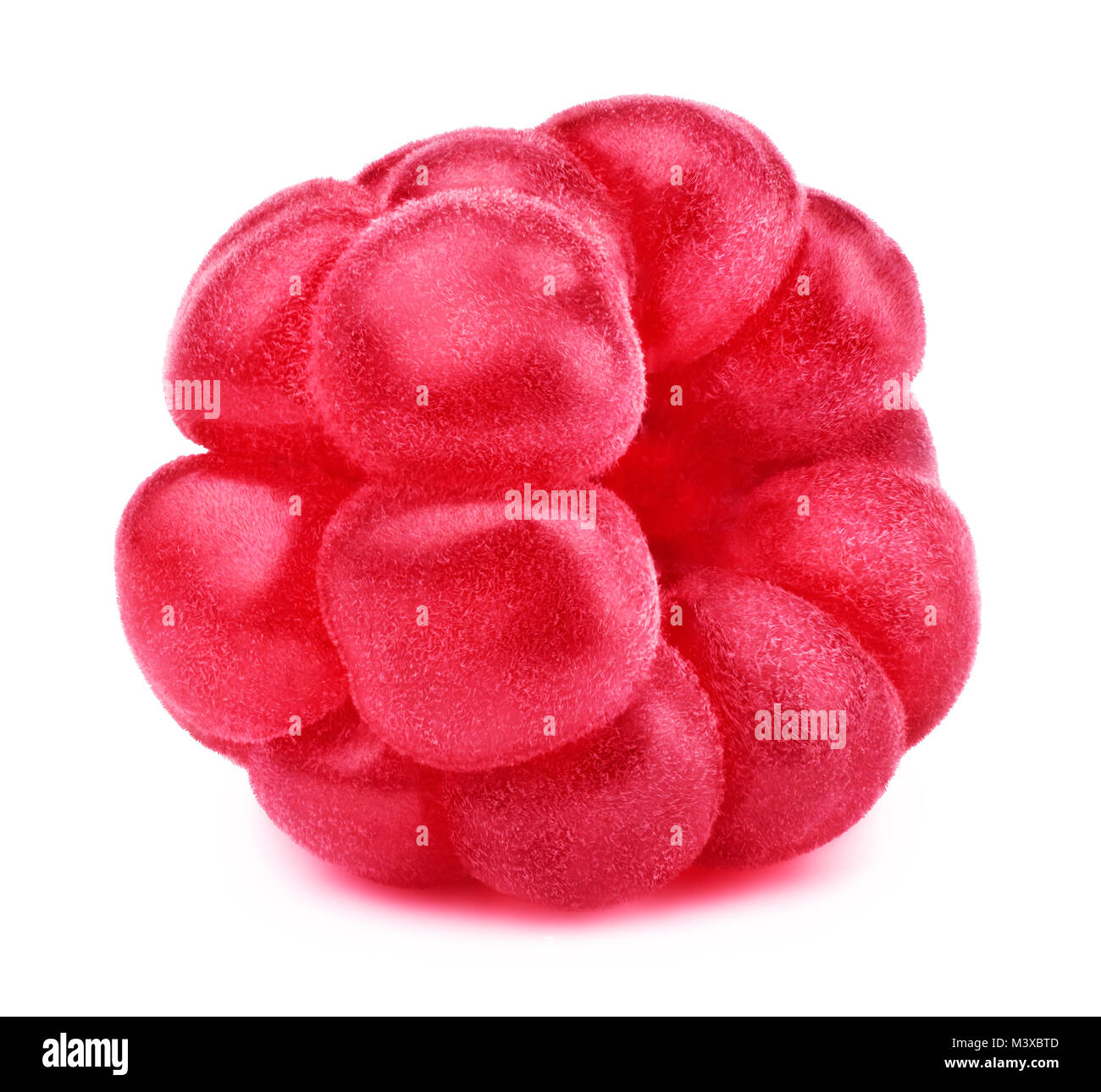 Ripe raspberry isolated on white background with clipping path. One of ...