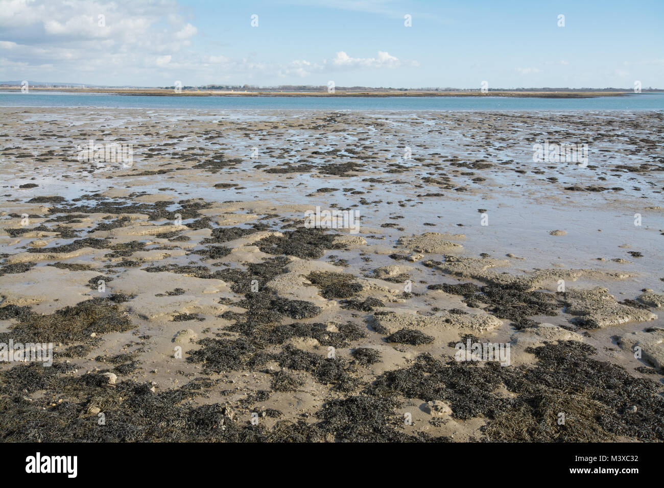 Coastal mudflats landscape at Farlington Marshes Nature Reserve in ...