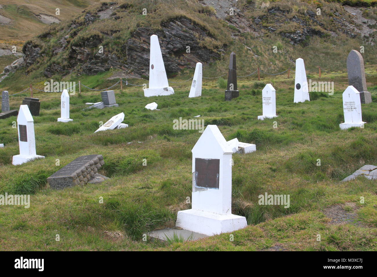 South Georgia scenes Stock Photo - Alamy