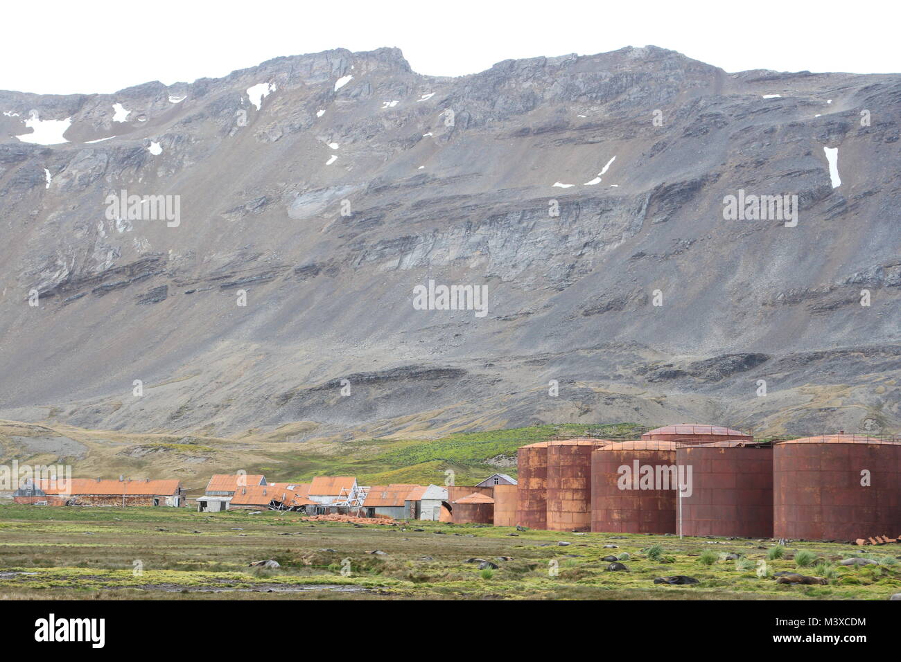South Georgia scenes Stock Photo - Alamy