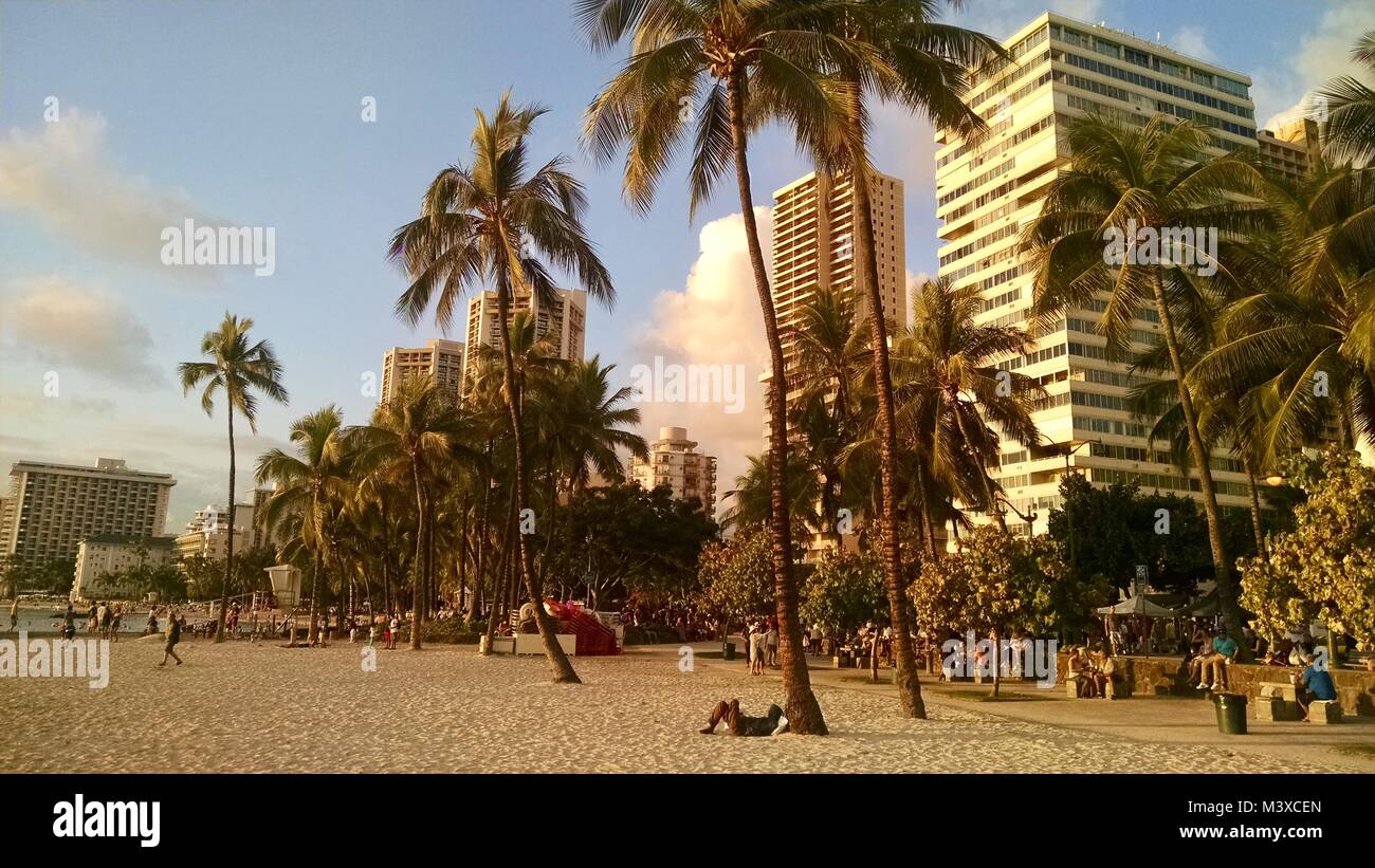 Whales Head Beach High Resolution Stock Photography and Images - Alamy