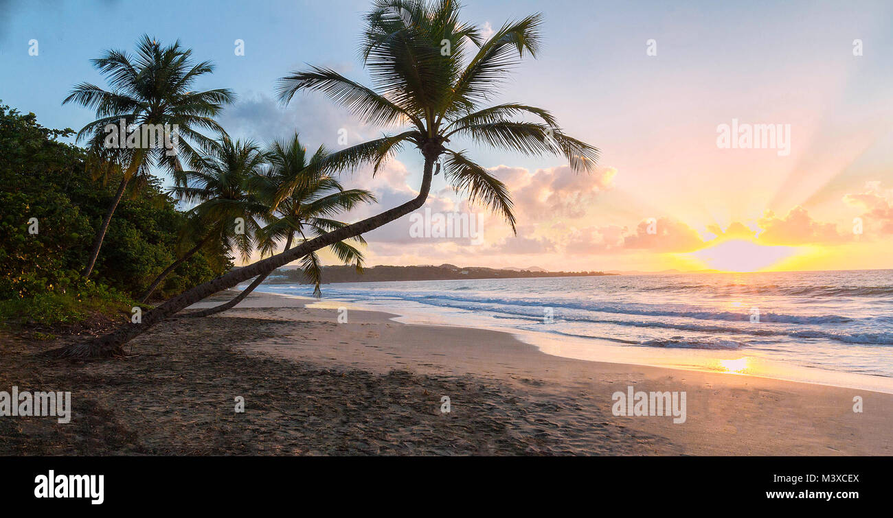 Guadeloupe french west indies paradise hi-res stock photography and ...