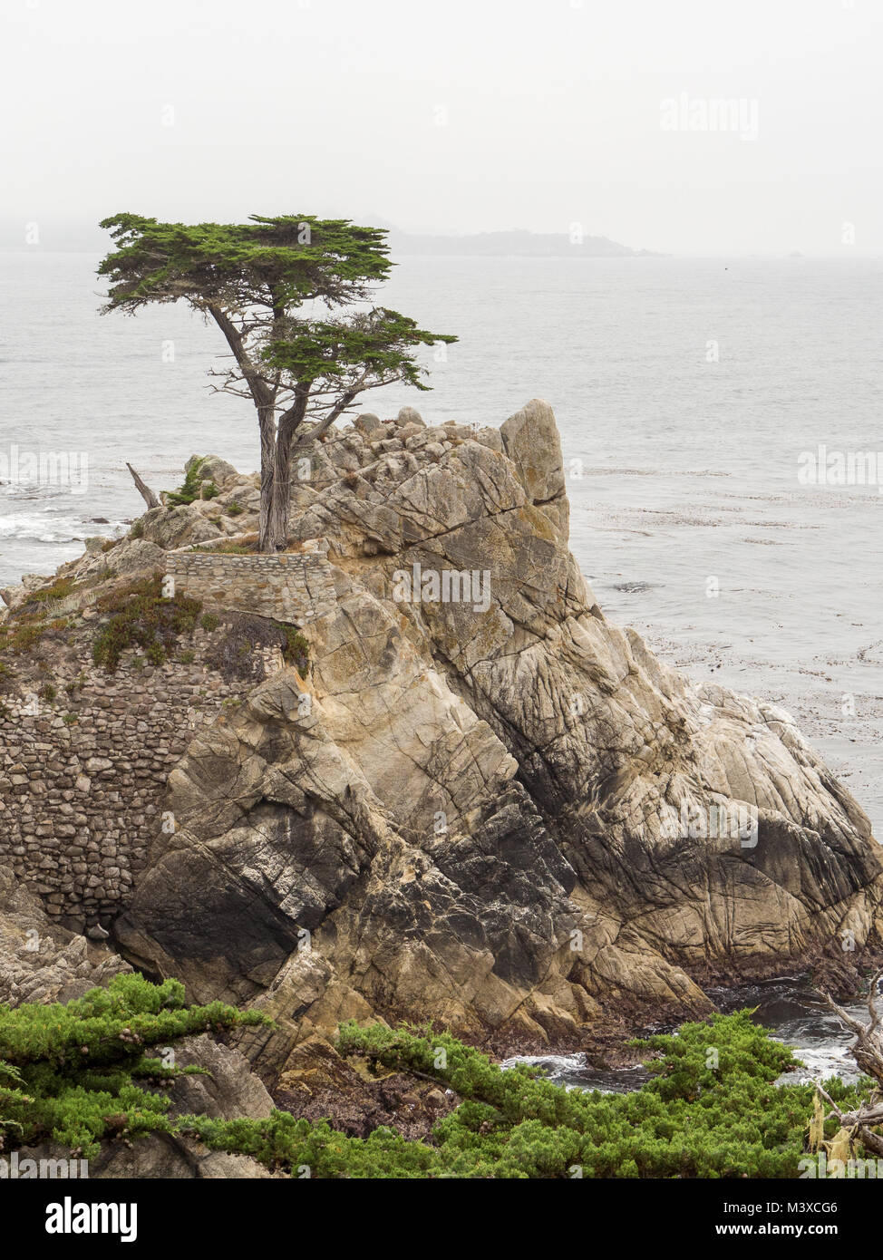Cypress Point California Pacific Coast Stock Photo - Alamy