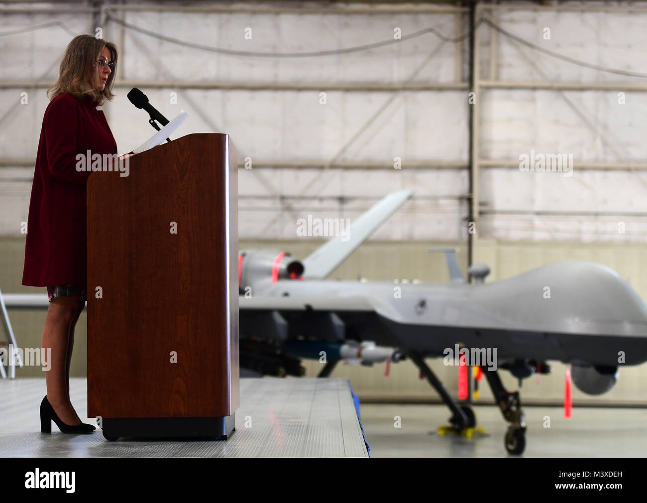 Ms. Jonna Doolittle Hoppes, executive director of the Doolittle ...