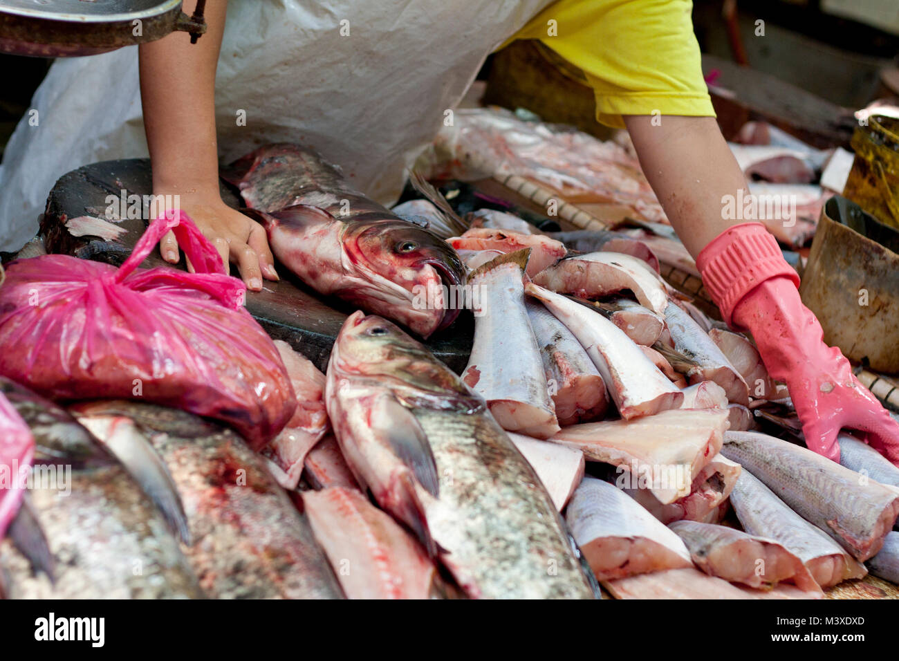fish, market in Asia close up Stock Photo - Alamy