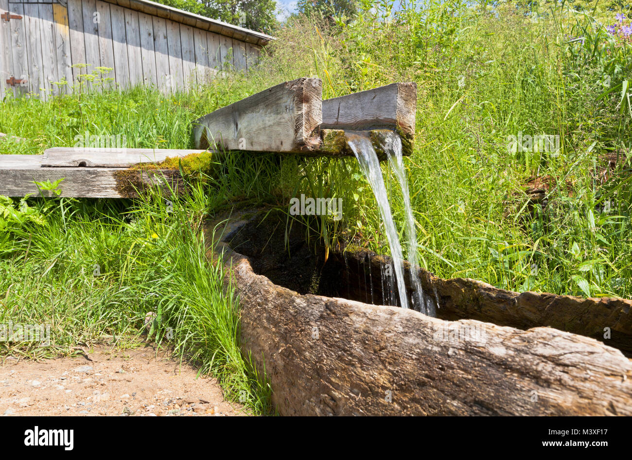 Trough tray hi-res stock photography and images - Alamy