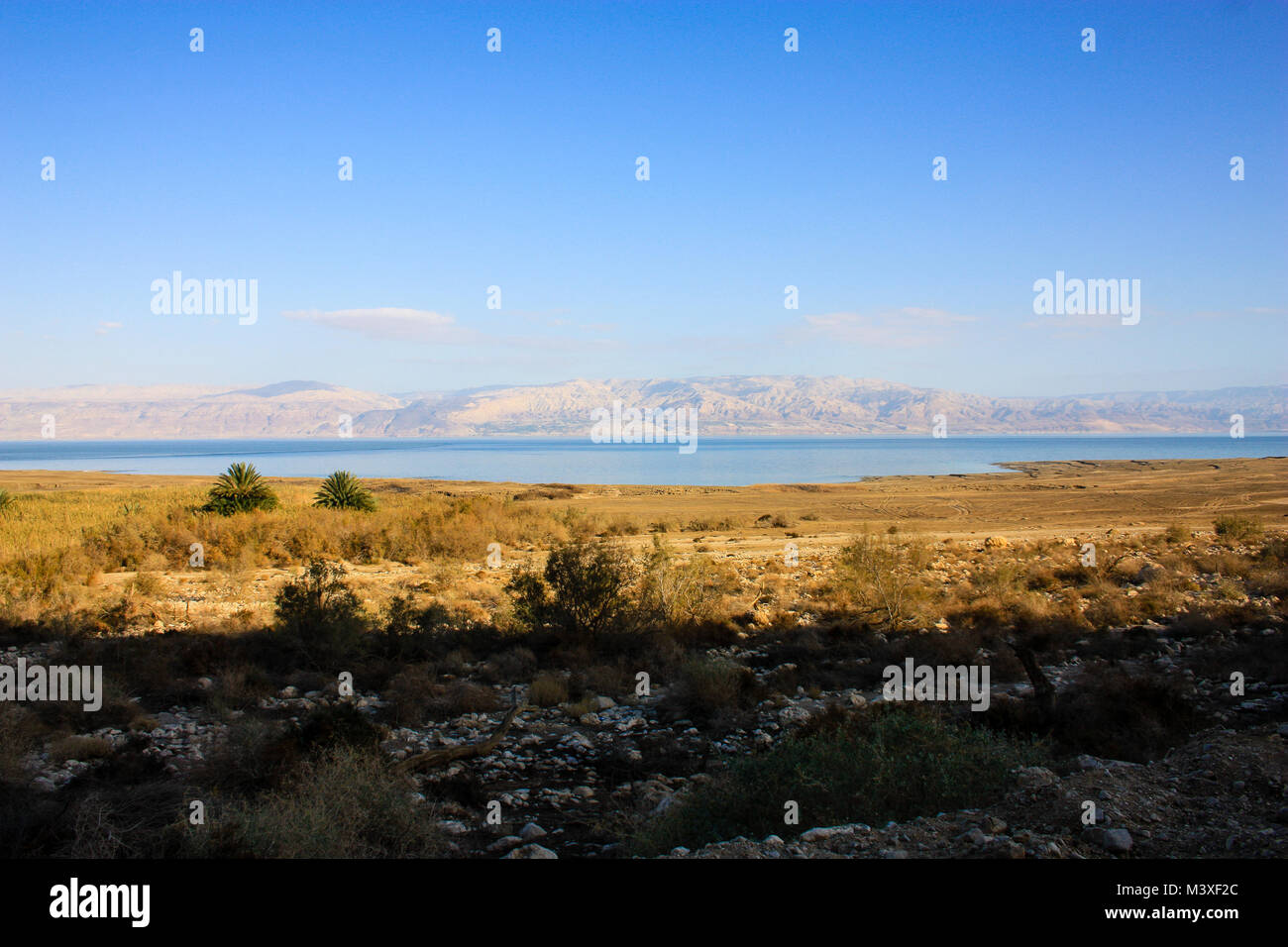 Nature and landscape of the Dead sea in Israel Stock Photo - Alamy