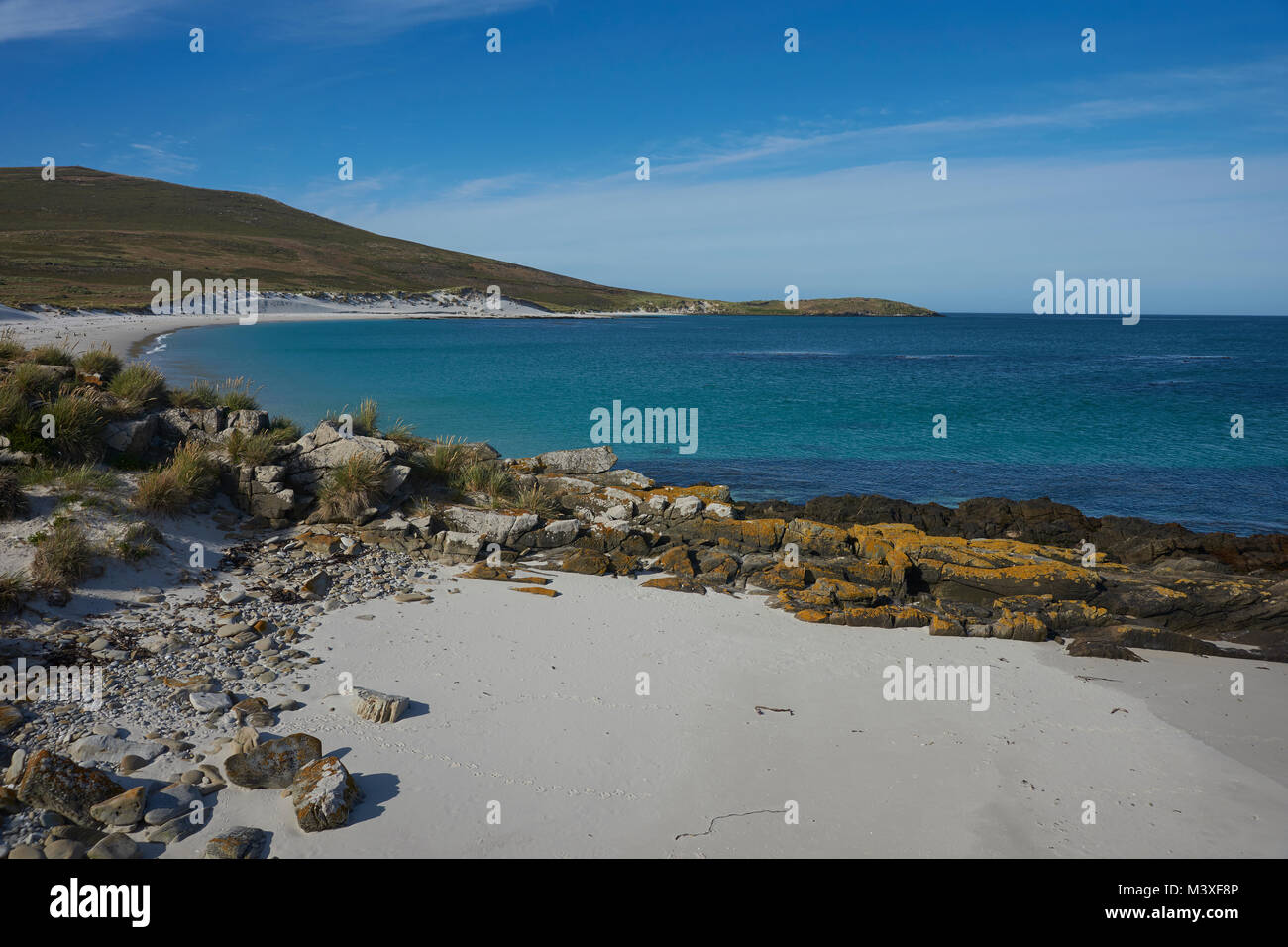 White sandy beach with outcrops of lichen covered rocks on Carcass ...
