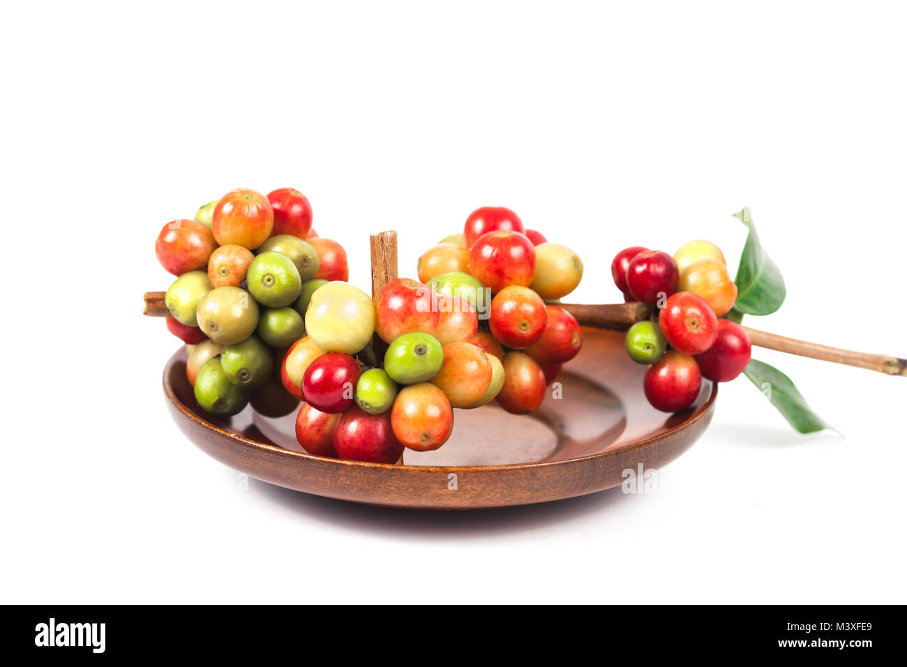Coffee tree plant in Cut Out Stock Images & Pictures - Alamy