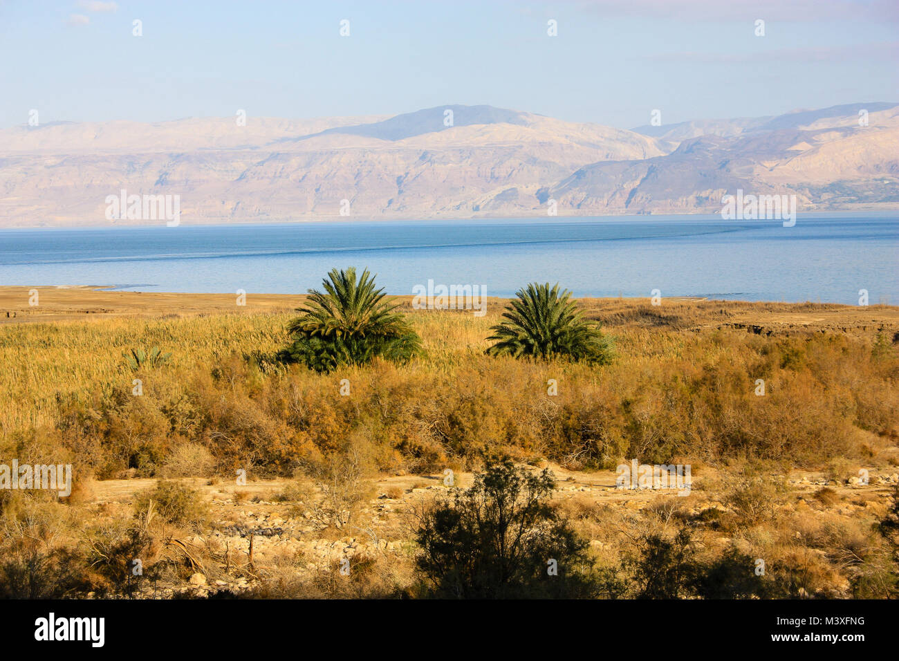 Nature and landscape of the Dead sea in Israel Stock Photo - Alamy