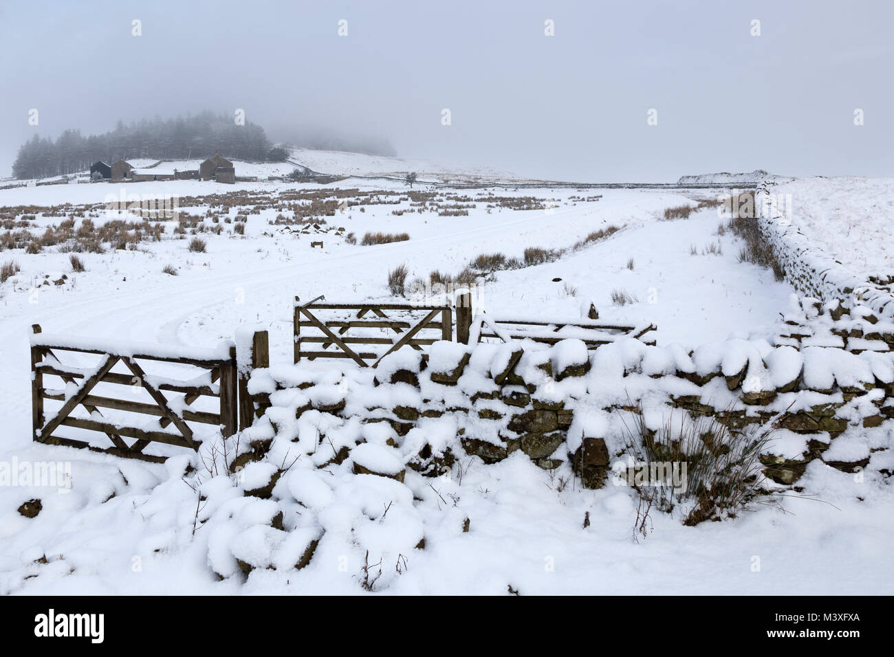 Hadrian's Wall: the view to the east from Milking Gap, near Crag Lough ...