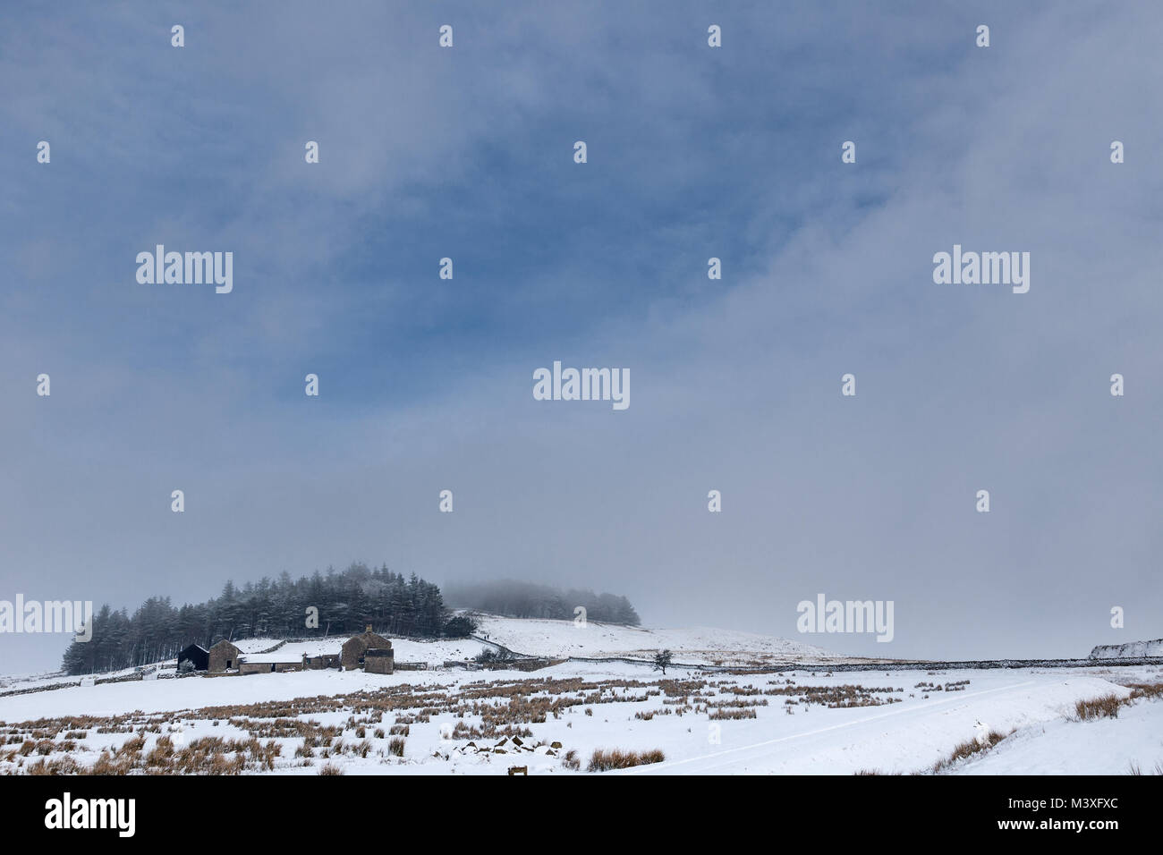 Hotbank farm hadrians wall hi-res stock photography and images - Alamy