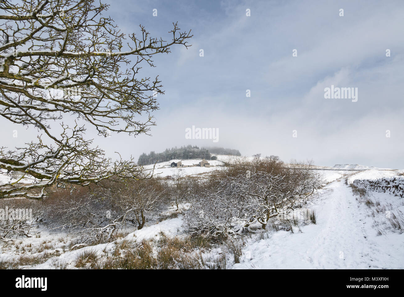 Hadrian's Wall: the view to the east from close to Milking Gap, near ...