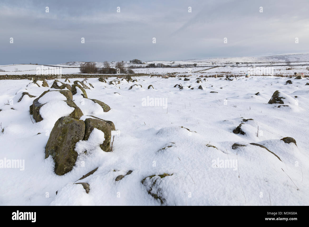 Hadrian's Wall: the stone remains of an ancient, native settlement at ...