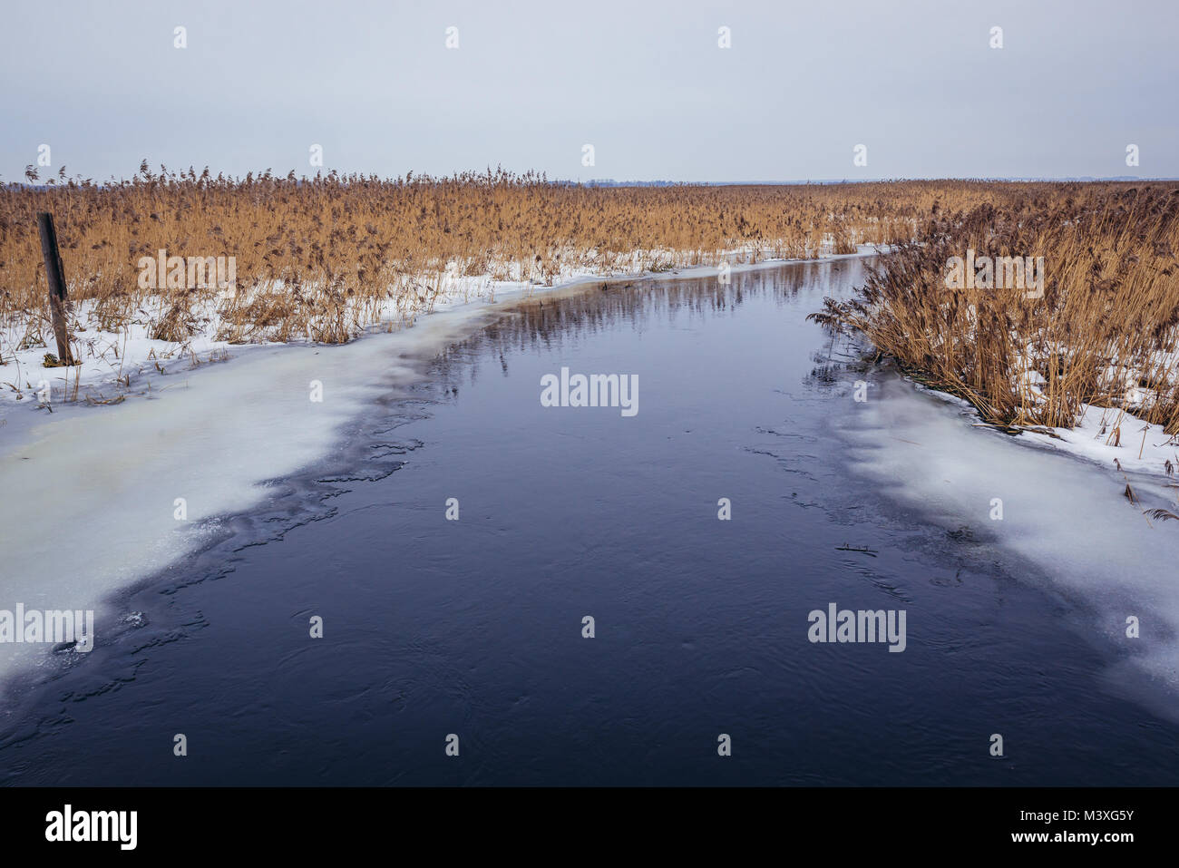 Narew River High Resolution Stock Photography and Images - Alamy