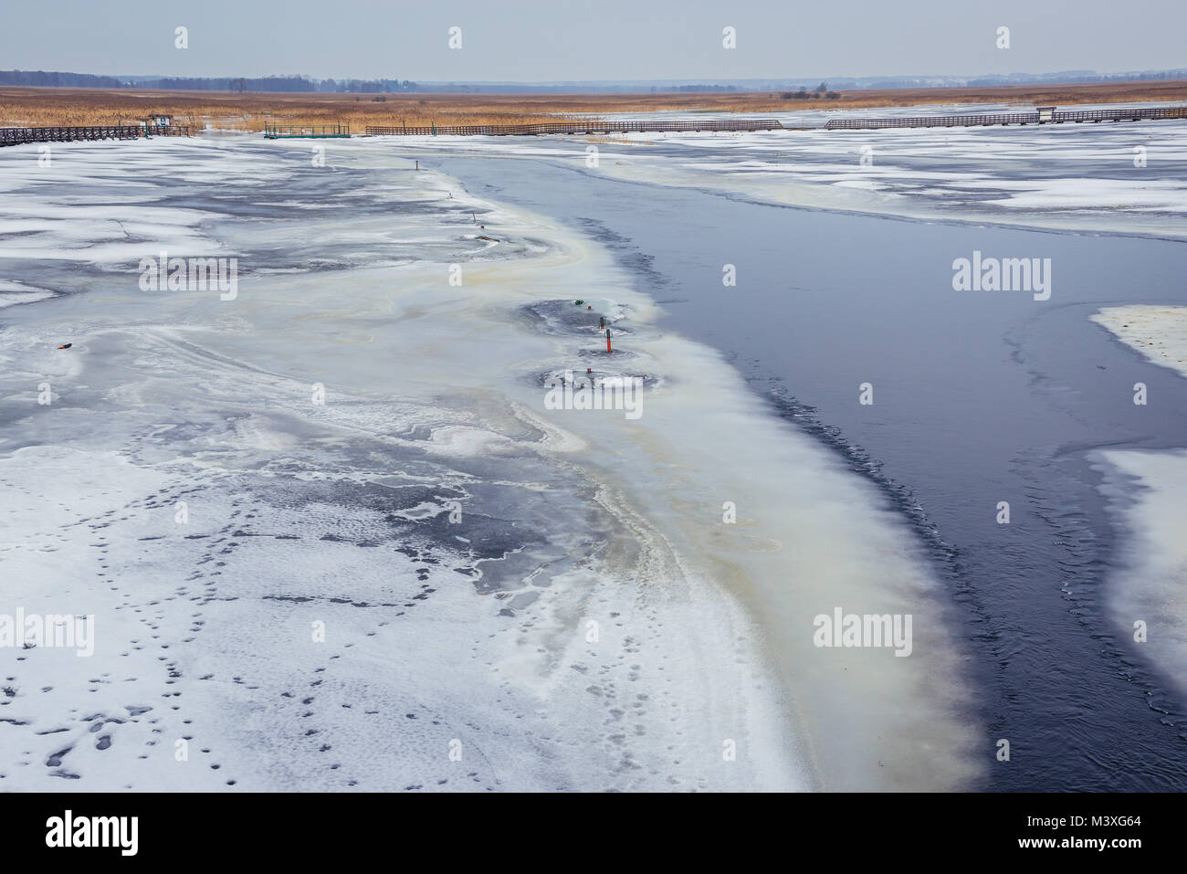 Partly frozen braided channel of Narew River in Waniewo village ...