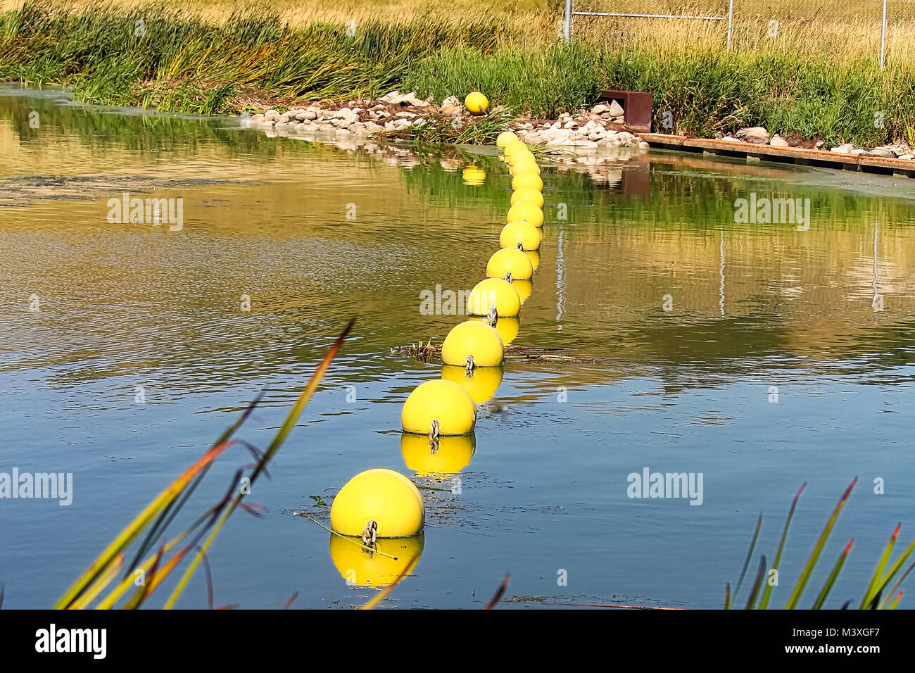 Safety buoys hi-res stock photography and images - Alamy