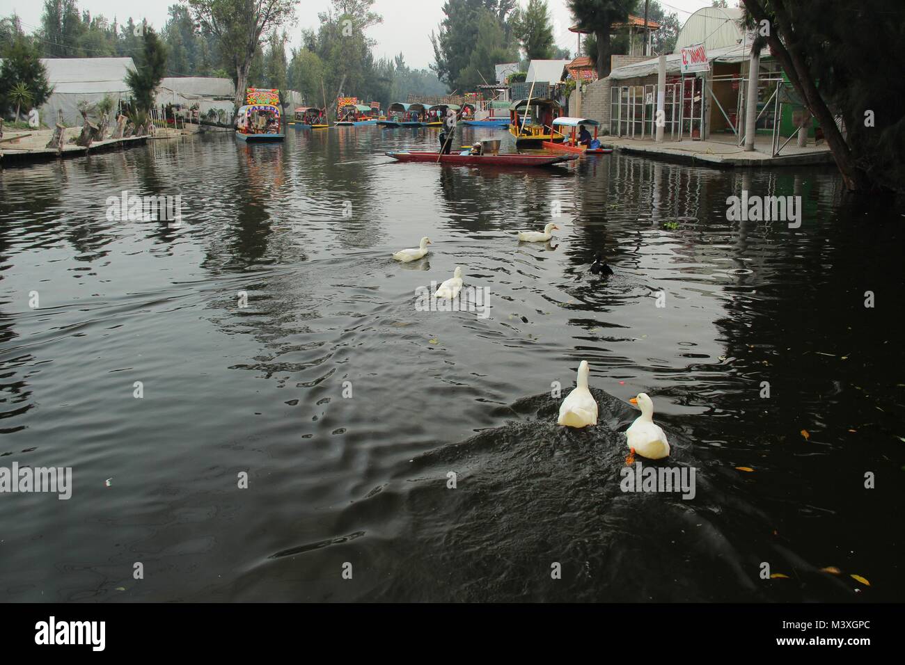 Xochimilco, Mexico CDMX Stock Photo - Alamy