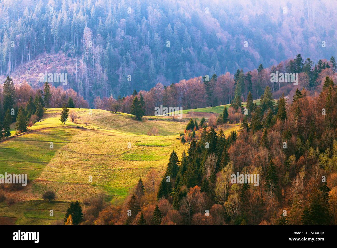Agricultural scenery hillside field hi-res stock photography and images ...