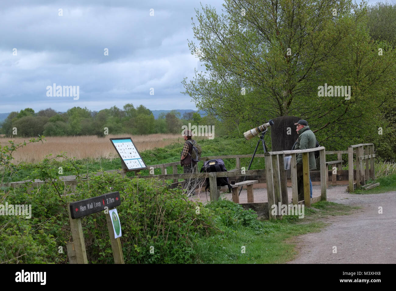April 2017 - Photographer on the viewing platform at Ham Wall RSPB ...