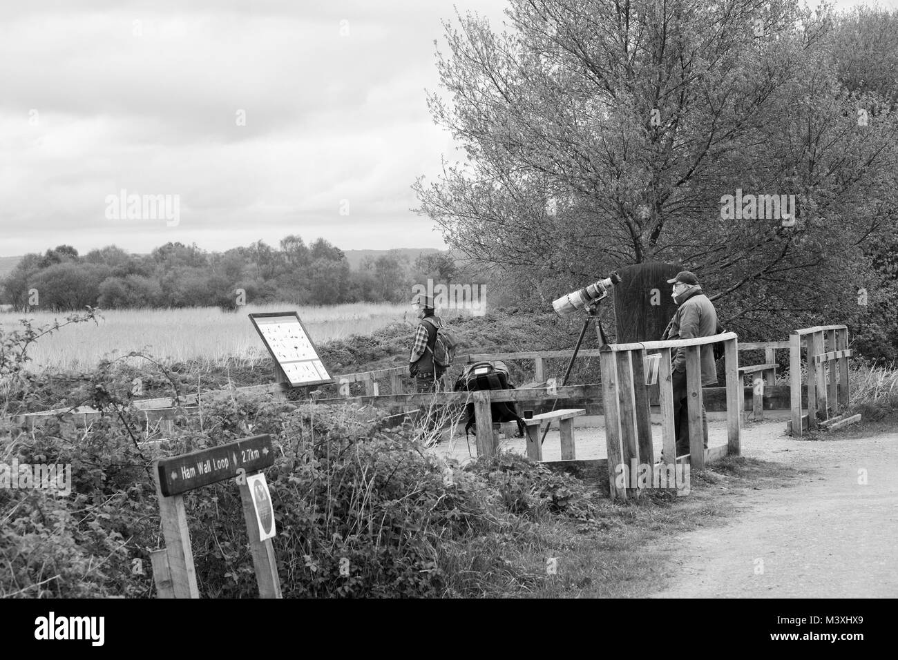April 2017 - Photographer on the viewing platform at Ham Wall RSPB ...