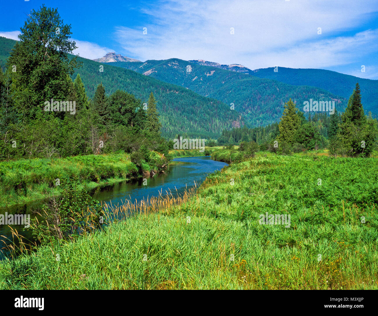 bull river below the cabinet mountains near noxon, montana Stock Photo ...