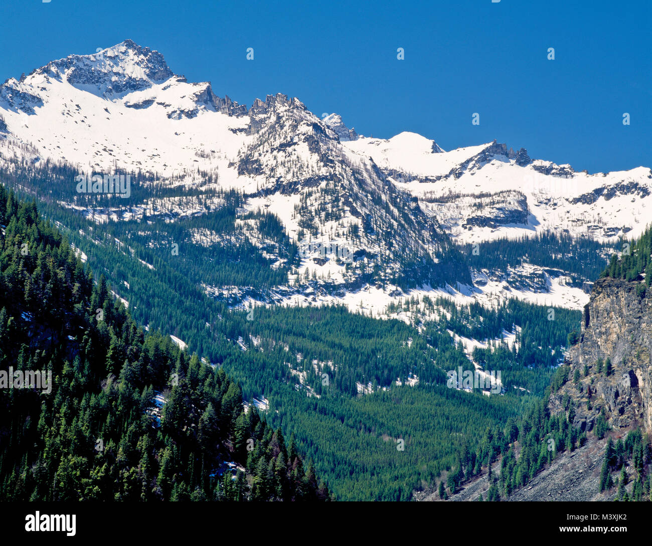 Bitterroot Mountain Range