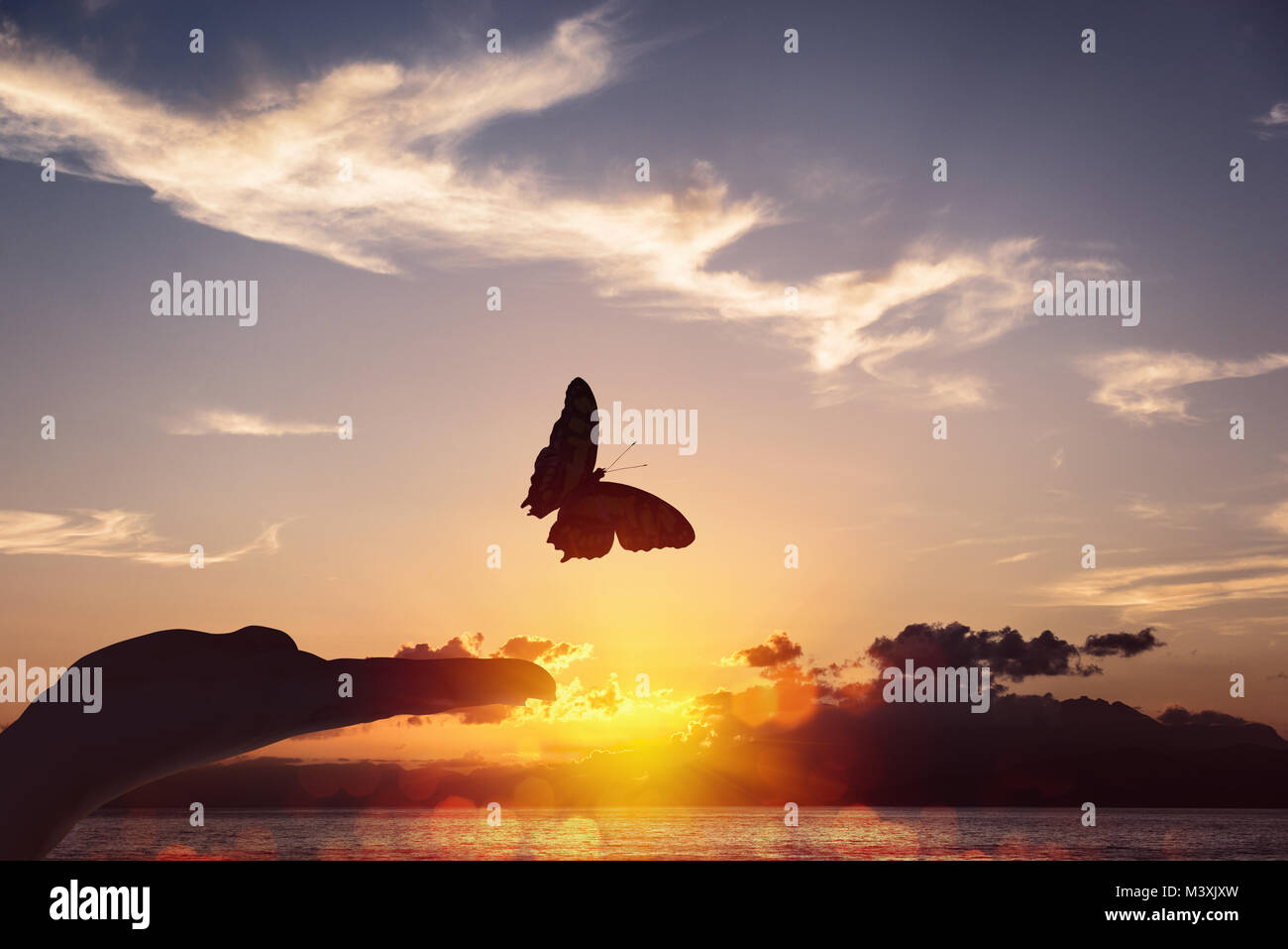 Human flight hi-res stock photography and images - Alamy