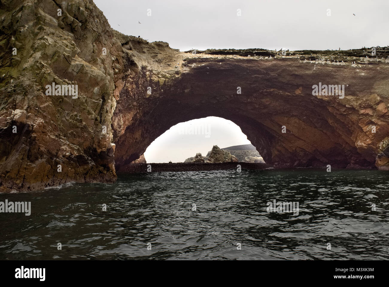 Ballestas Island, Paracas Peru Stock Photo - Alamy