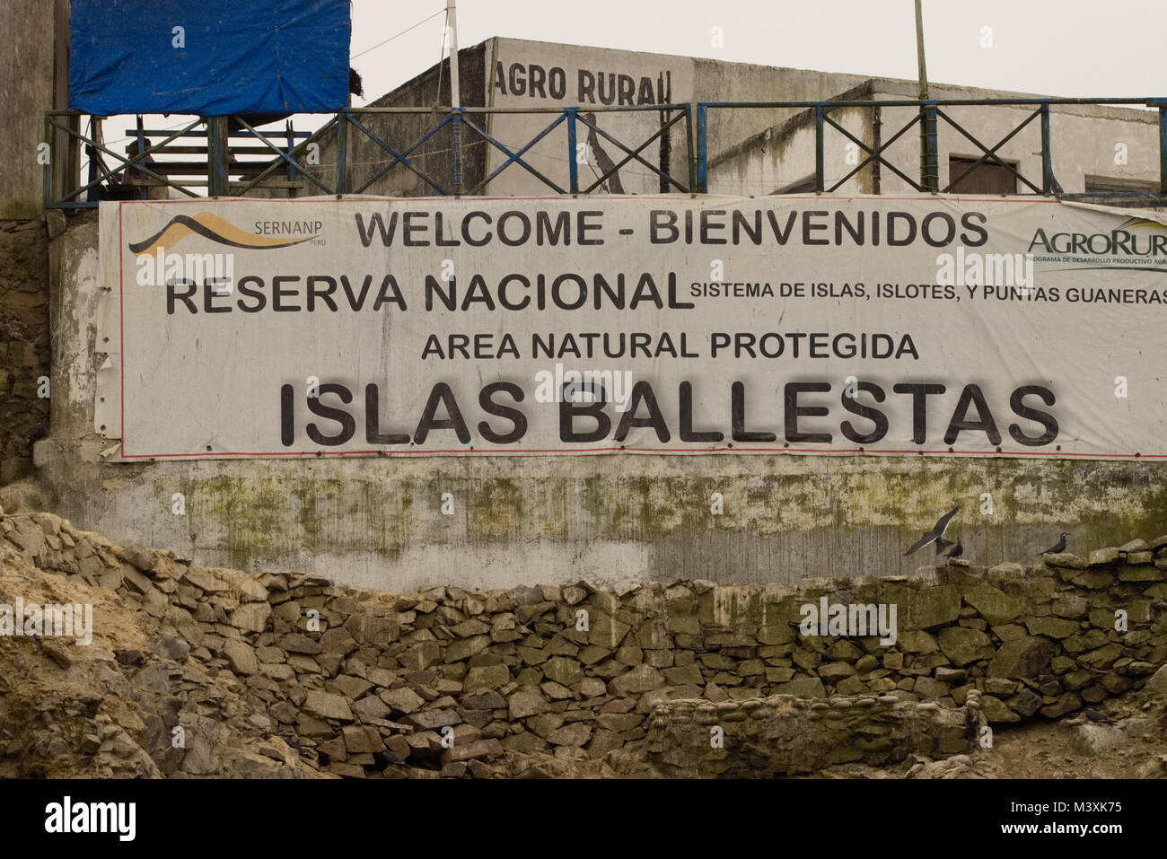 Ballestas Island, Paracas Peru Stock Photo - Alamy