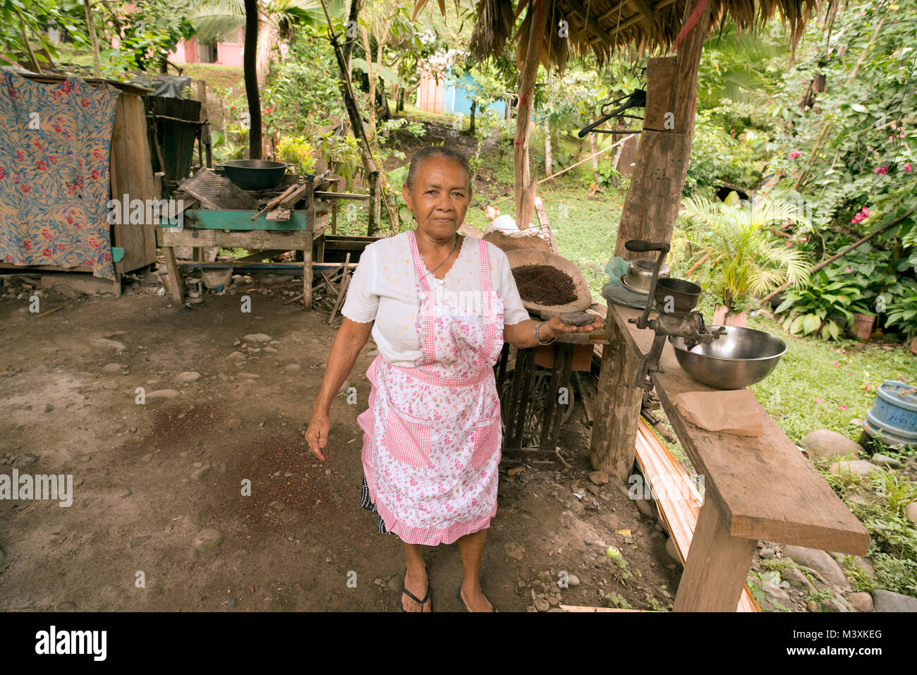 An elderly, indigenous Bribri lady makes chocolate paste from cocoa ...