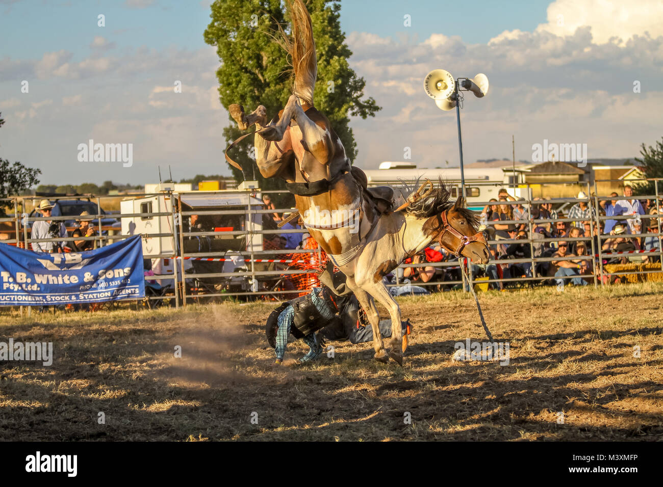 Ballarat International Rodeo - Ballarat Polocrosse Grounds ,Victoria ...