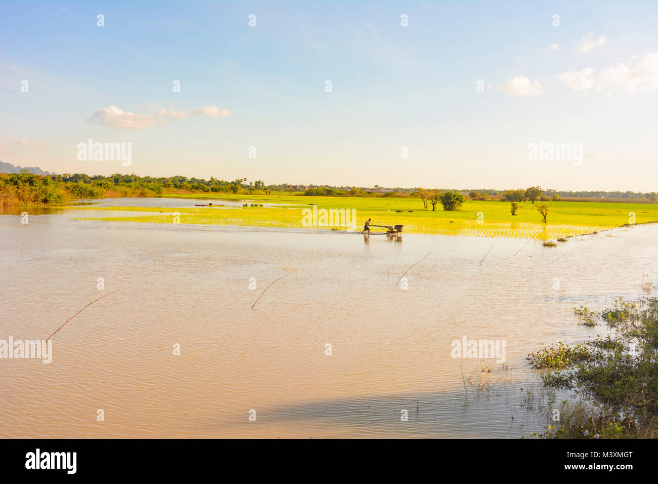 Hpa-An: rice paddy field, water, farmer, , Kayin (Karen) State, Myanmar ...
