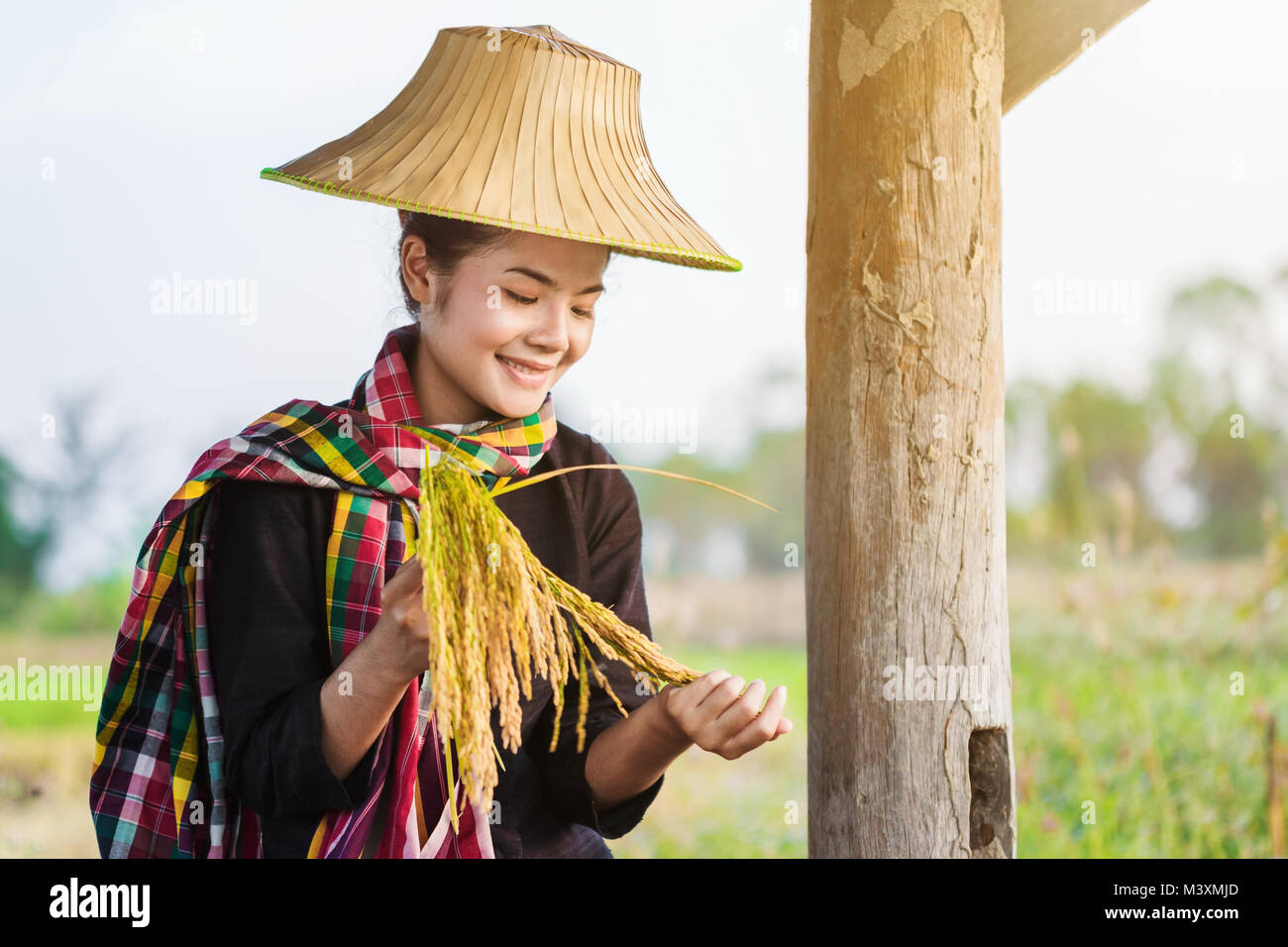 farmer woman holding rice and sitting in cottage at rice field ...