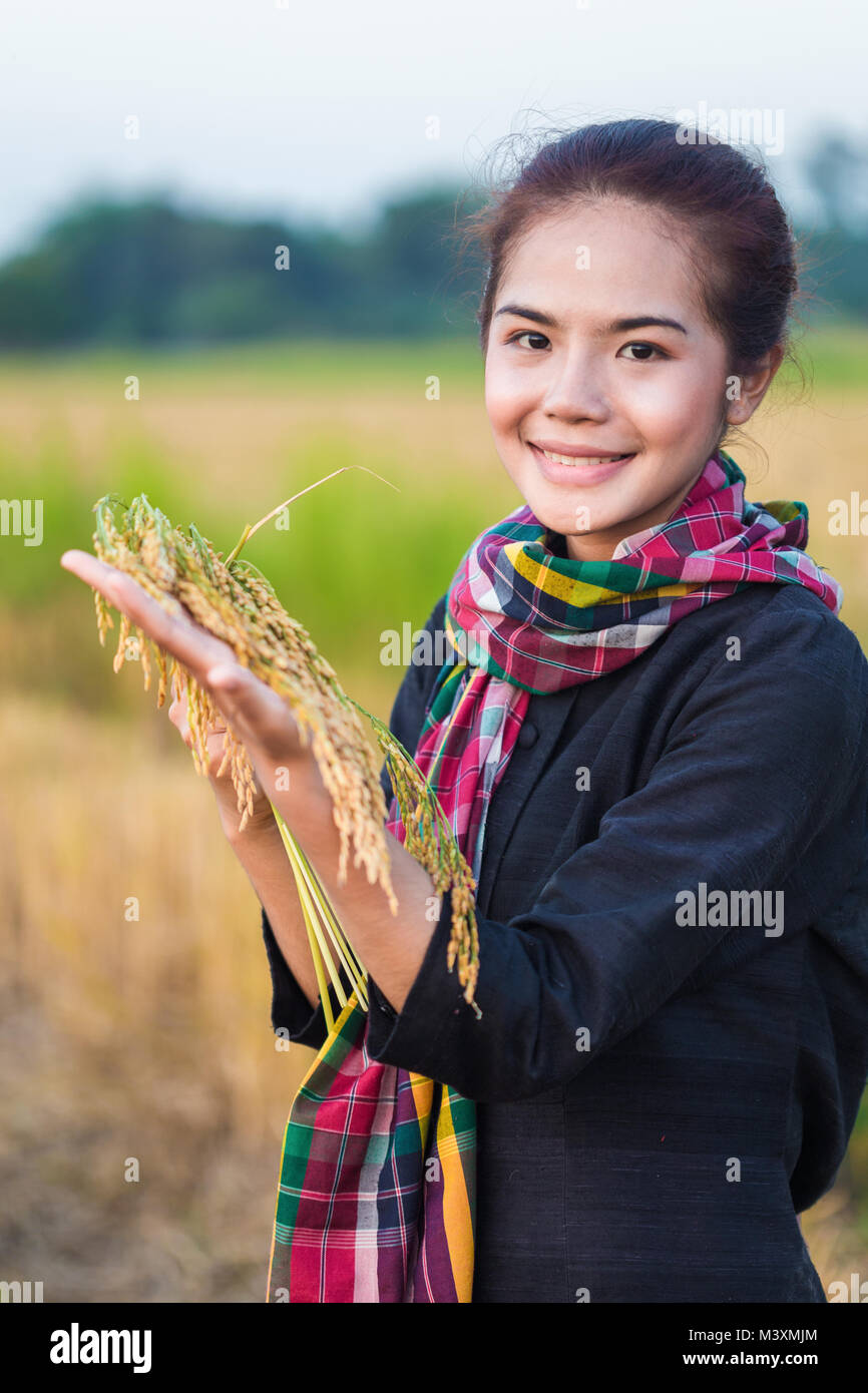 farmer woman holding rice in field, Thailand Stock Photo - Alamy