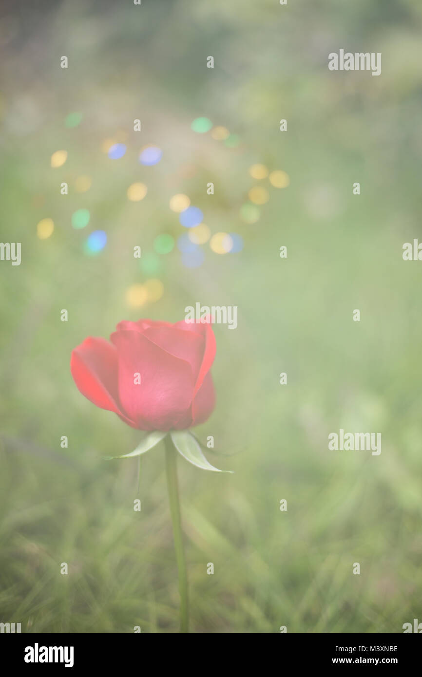 Heart shaped spot hi-res stock photography and images - Alamy