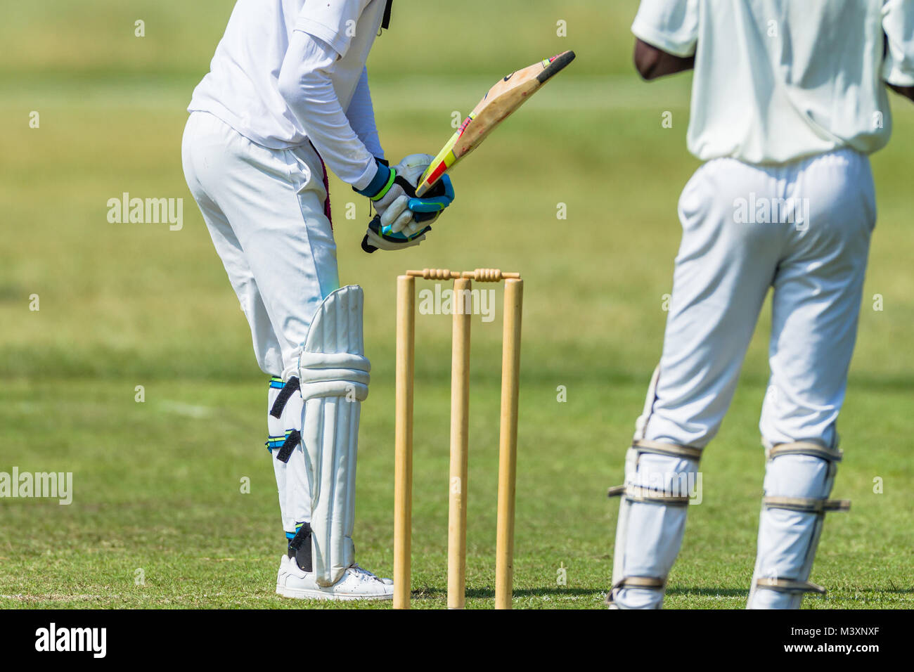 Wicketkeeper hi-res stock photography and images - Alamy