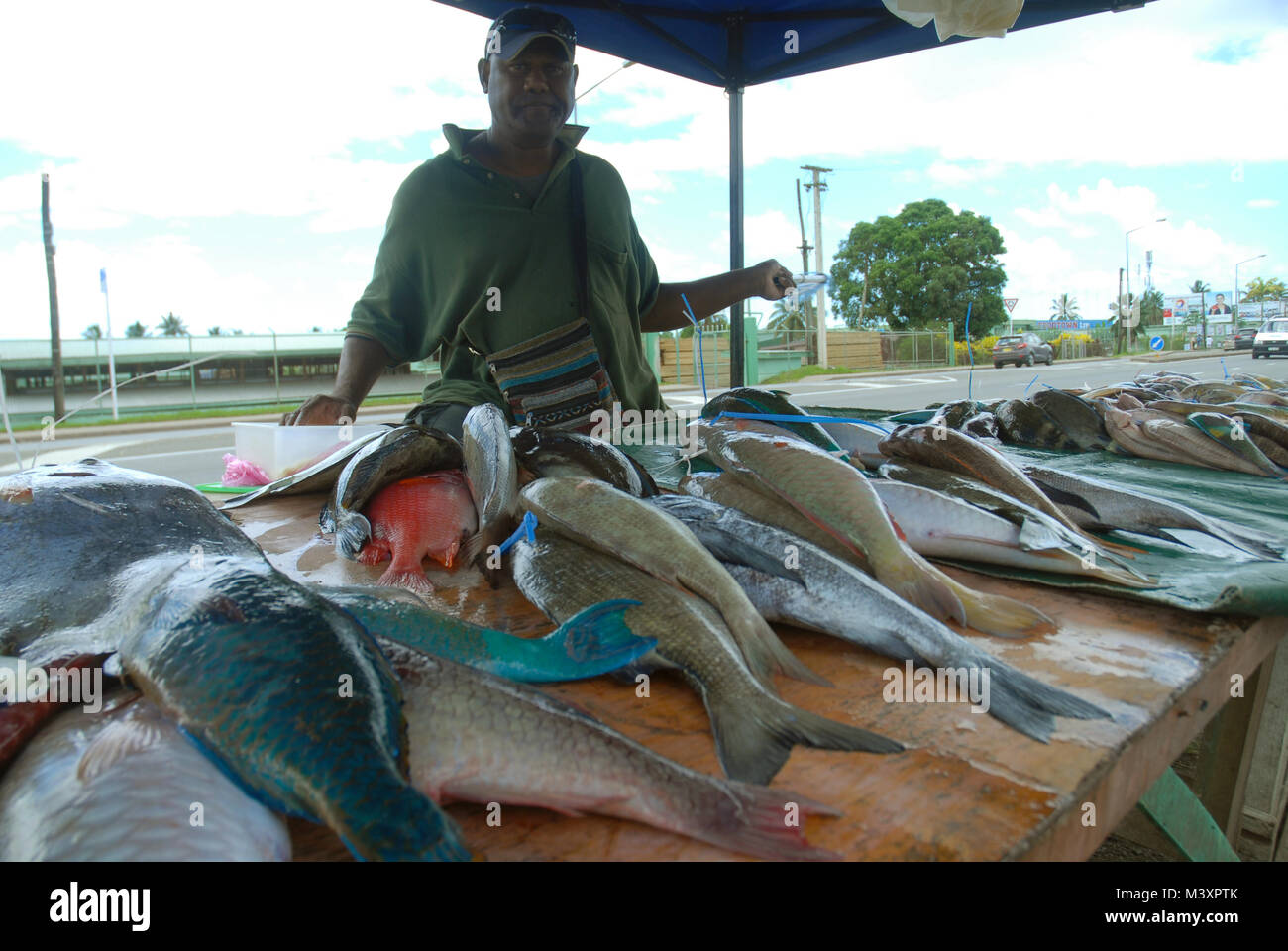 Fiji Fish Market High Resolution Stock Photography and Images - Alamy